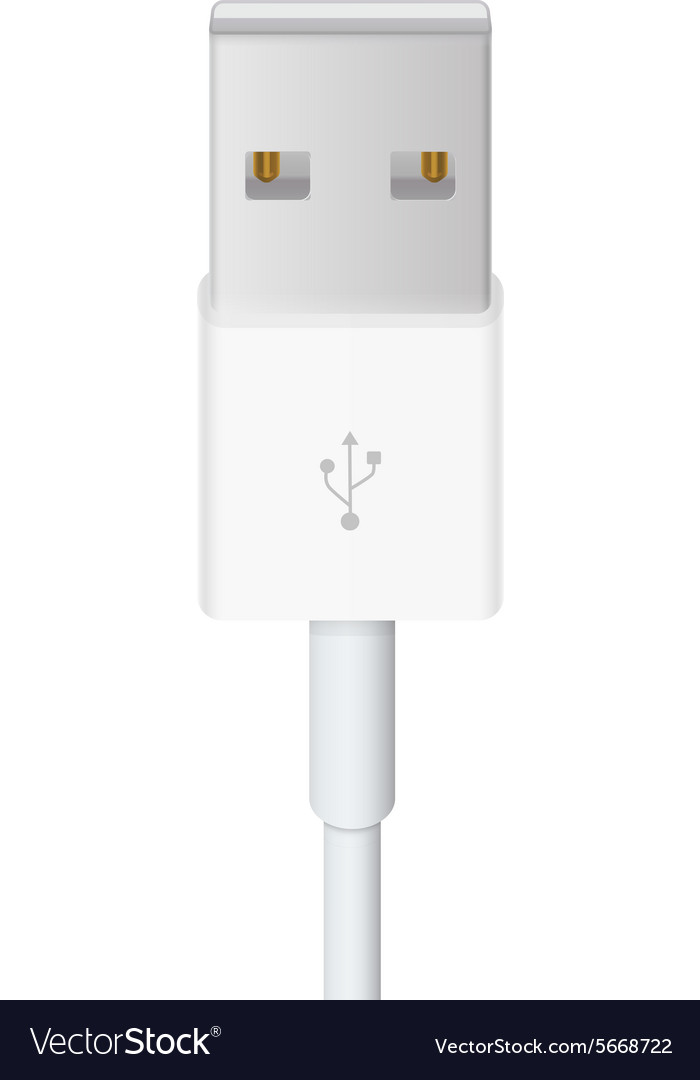Usb cable Royalty Free Vector Image - VectorStock