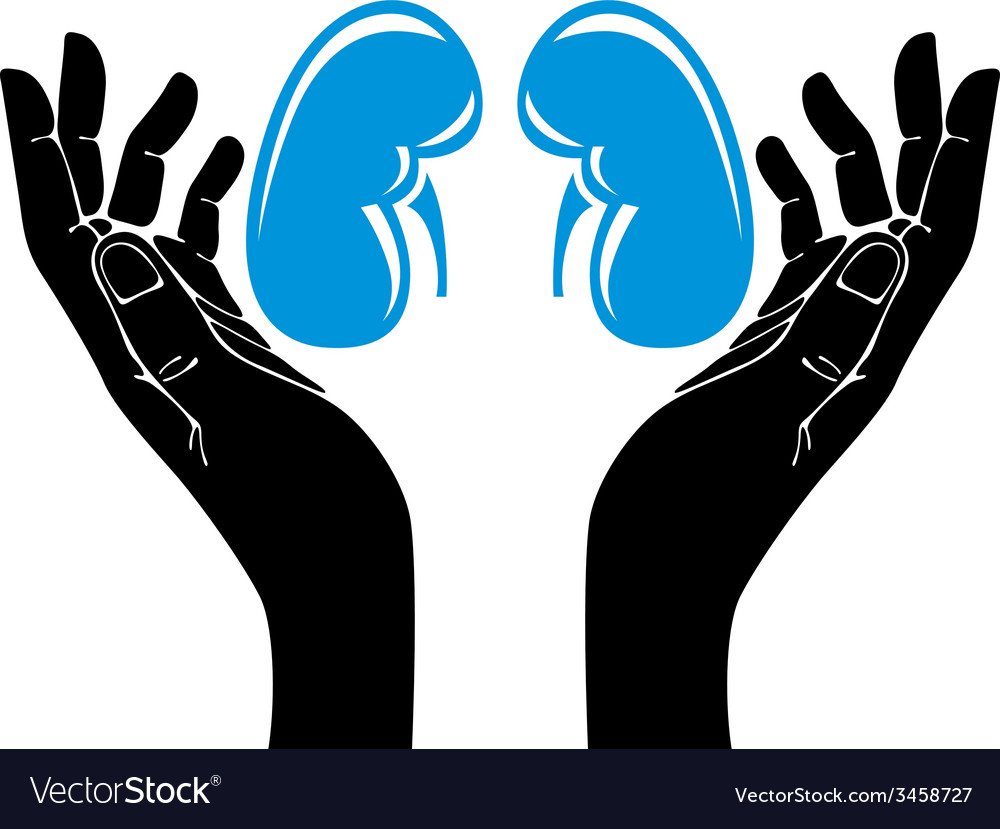 Hand Shake Sign Horseshoe Kidney at Tristan Oflaherty blog