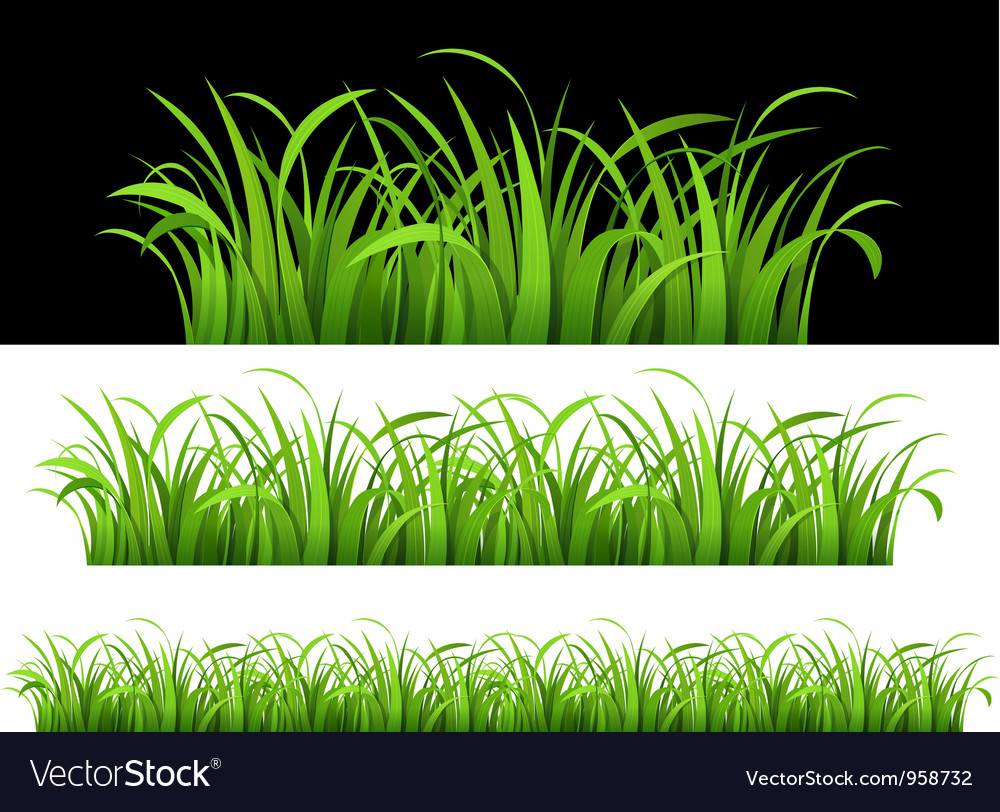 Green grass Royalty Free Vector Image - VectorStock