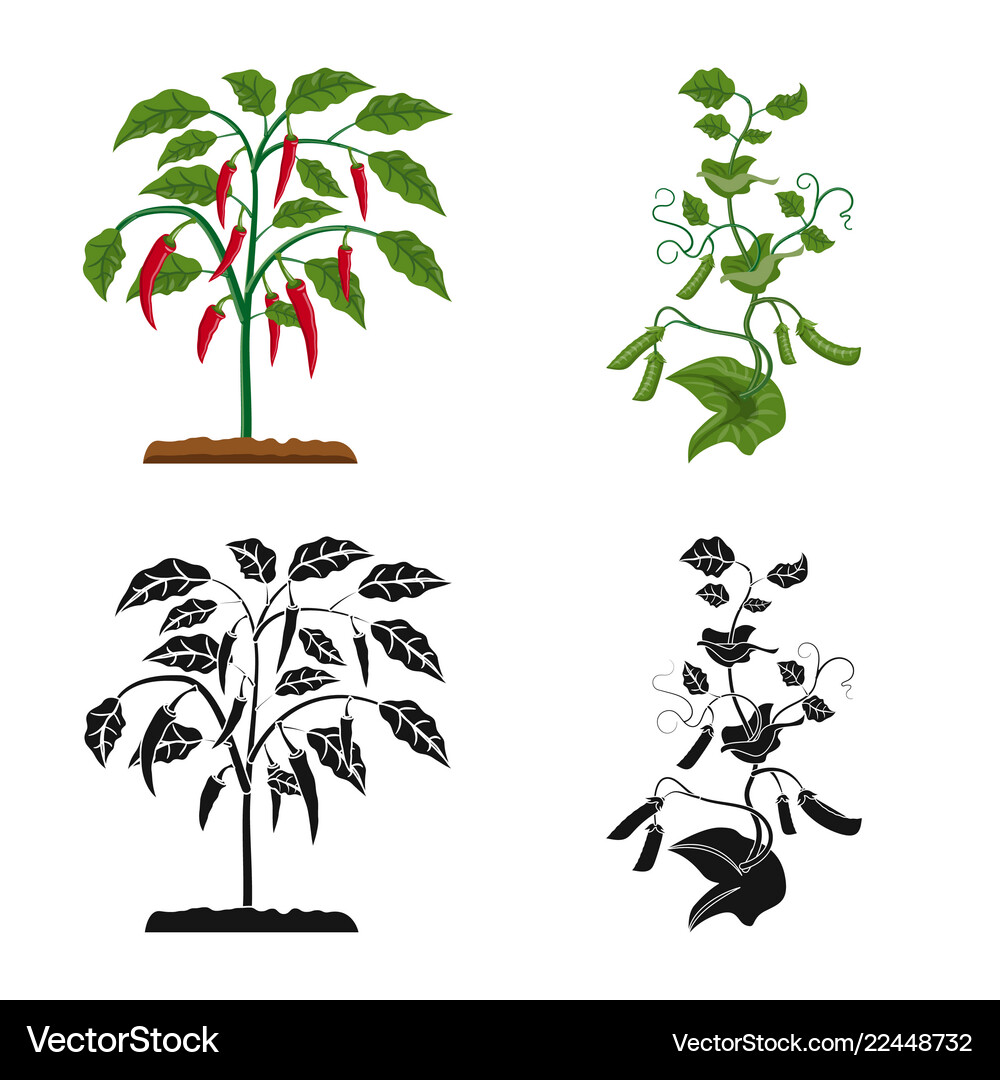 Greenhouse and plant symbol Royalty Free Vector Image
