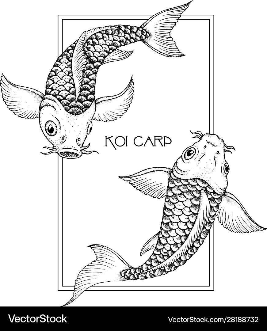 Japanese fancy carp hand drawn ink Royalty Free Vector Image