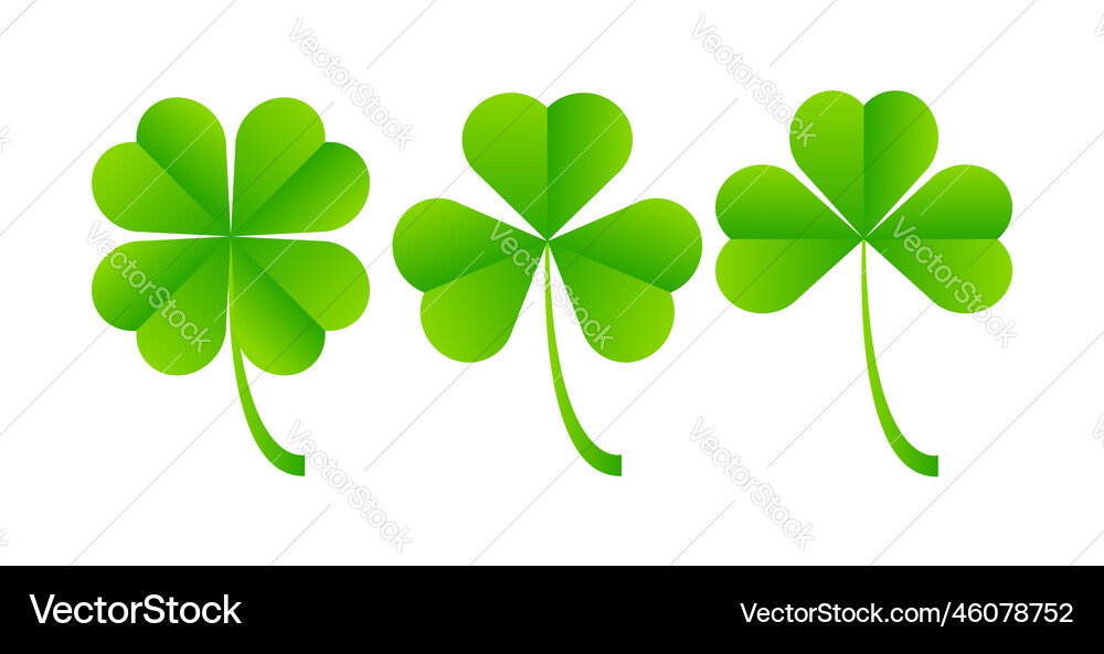 Green lucky leaf clover isolated on white Vector Image