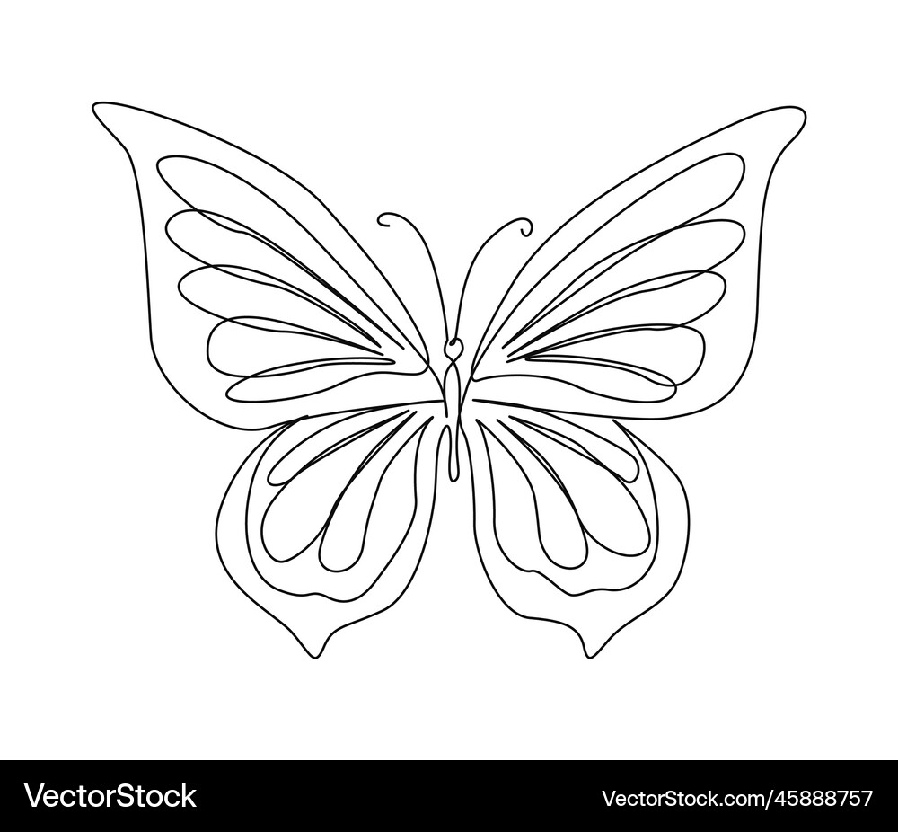Continuous one line drawing of butterfly simple Vector Image