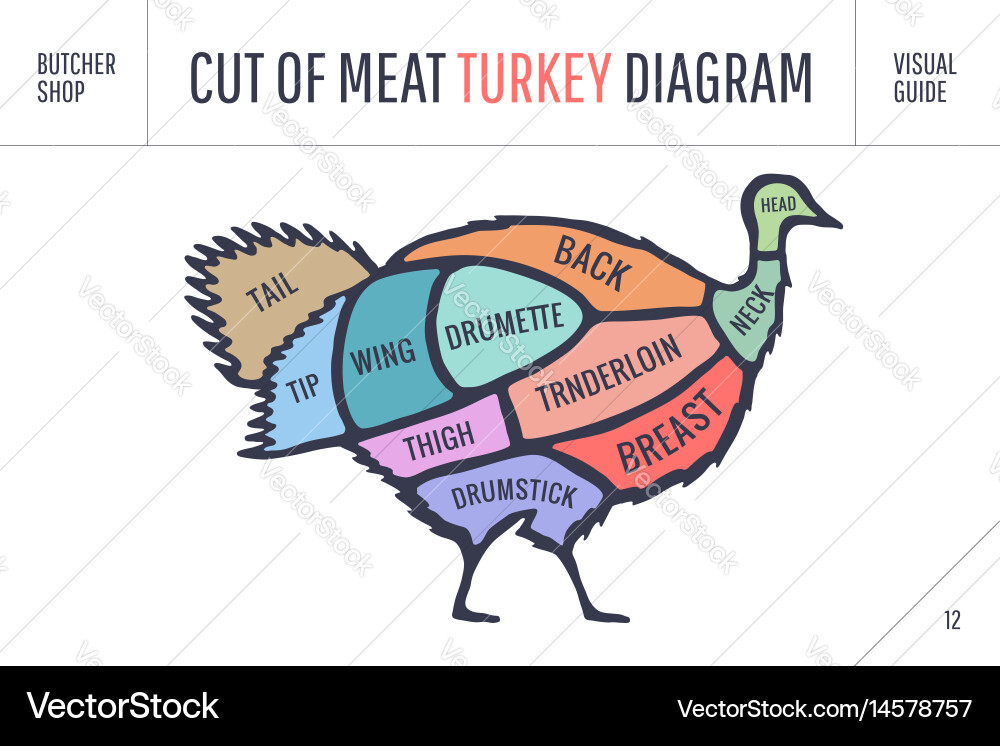 Cut meat set poster butcher diagram scheme Vector Image