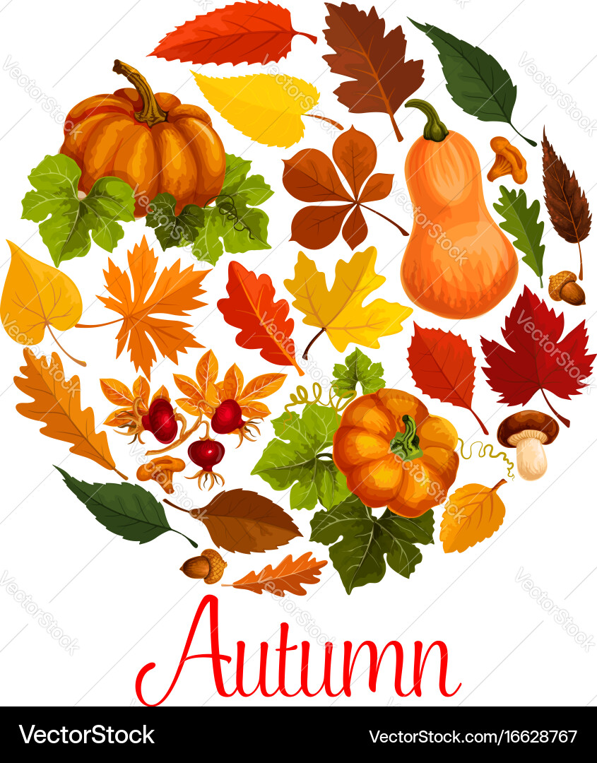Fall season poster autumn leaf and pumpkin Vector Image