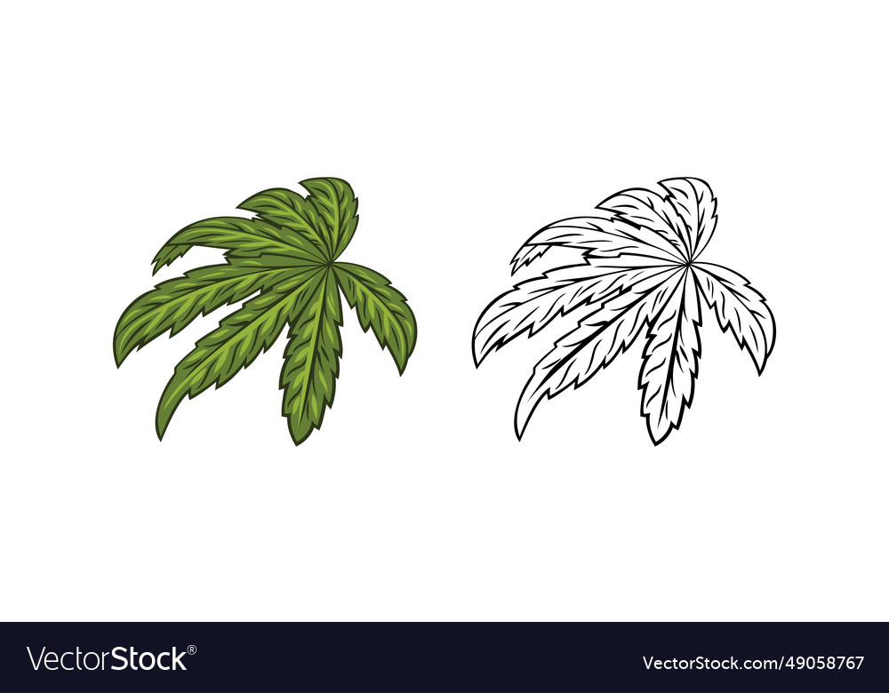 Marijuana leaf Royalty Free Vector Image - VectorStock