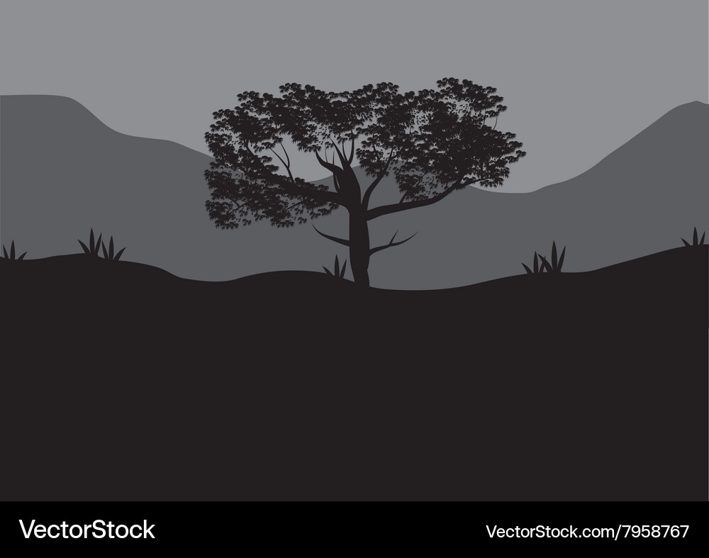 Silhouettes of shade trees Royalty Free Vector Image
