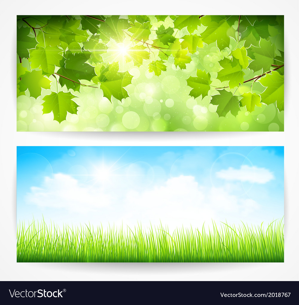 Spring banners Royalty Free Vector Image - VectorStock