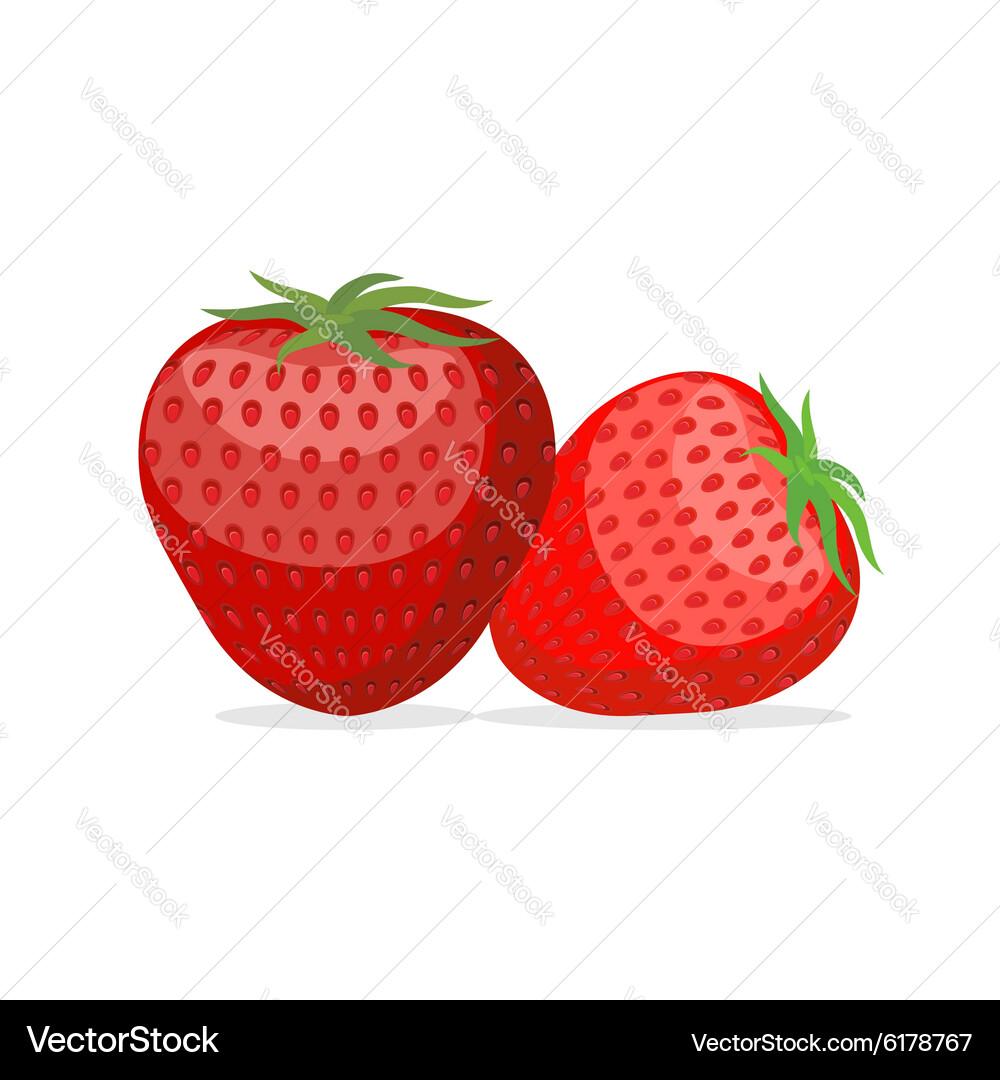 Strawberry two fresh red ripe strawberries Vector Image