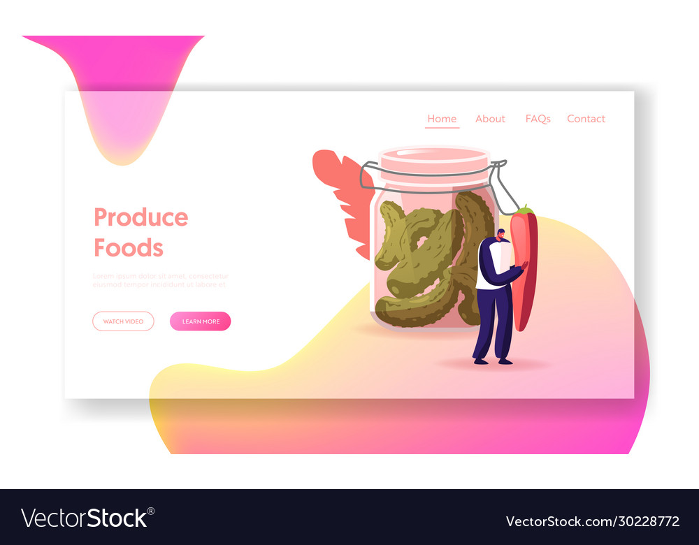 Homemade fermented vegan healthy food and canned Vector Image