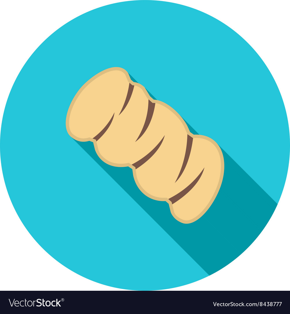 Braided bread Royalty Free Vector Image - VectorStock