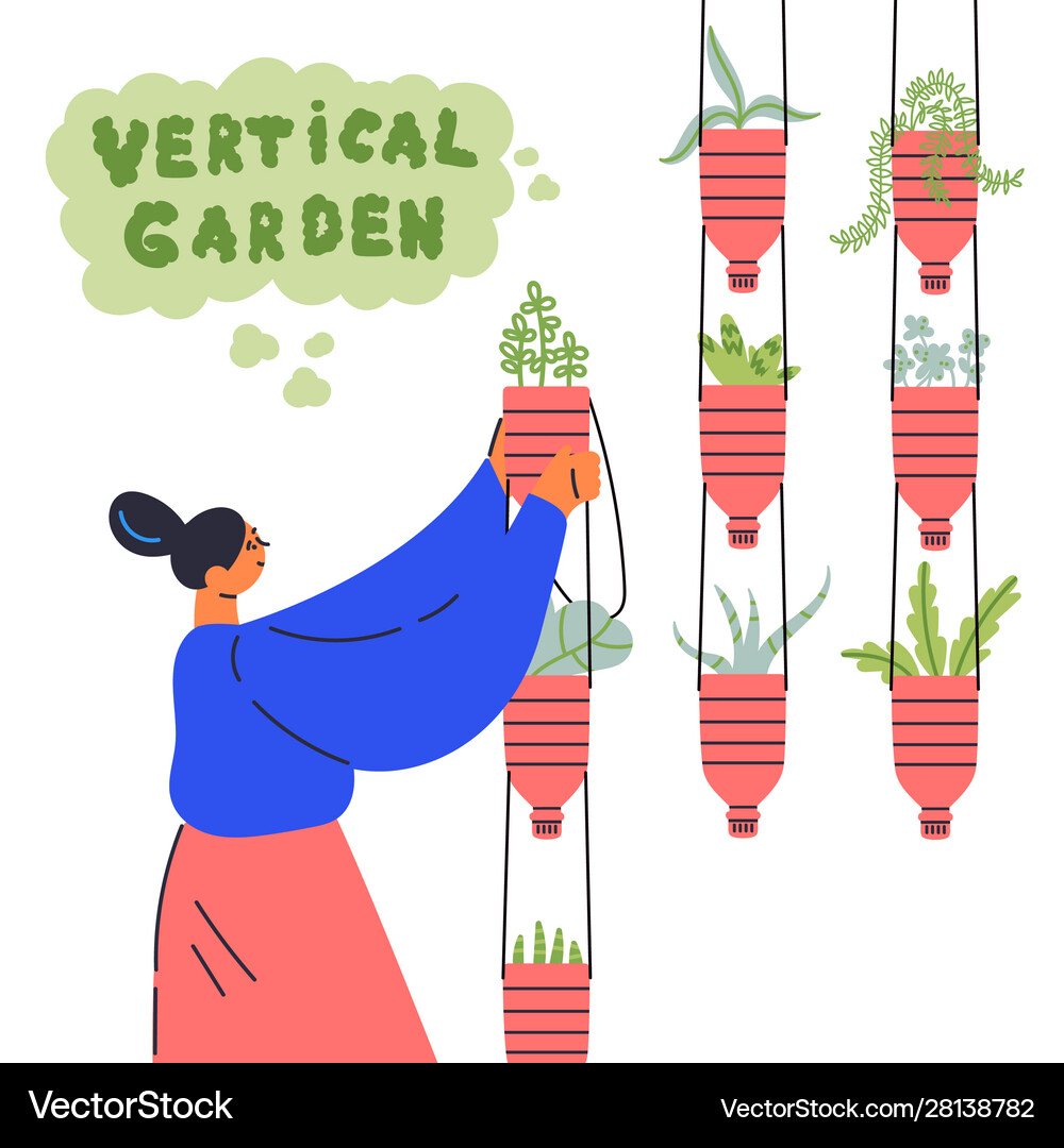 Vertical garden conceptwoman grows plants Vector Image