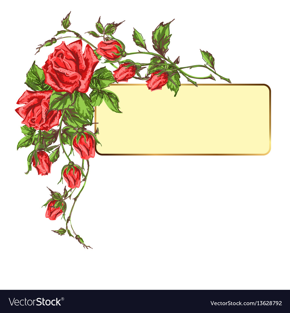 Greeting card with roses Royalty Free Vector Image