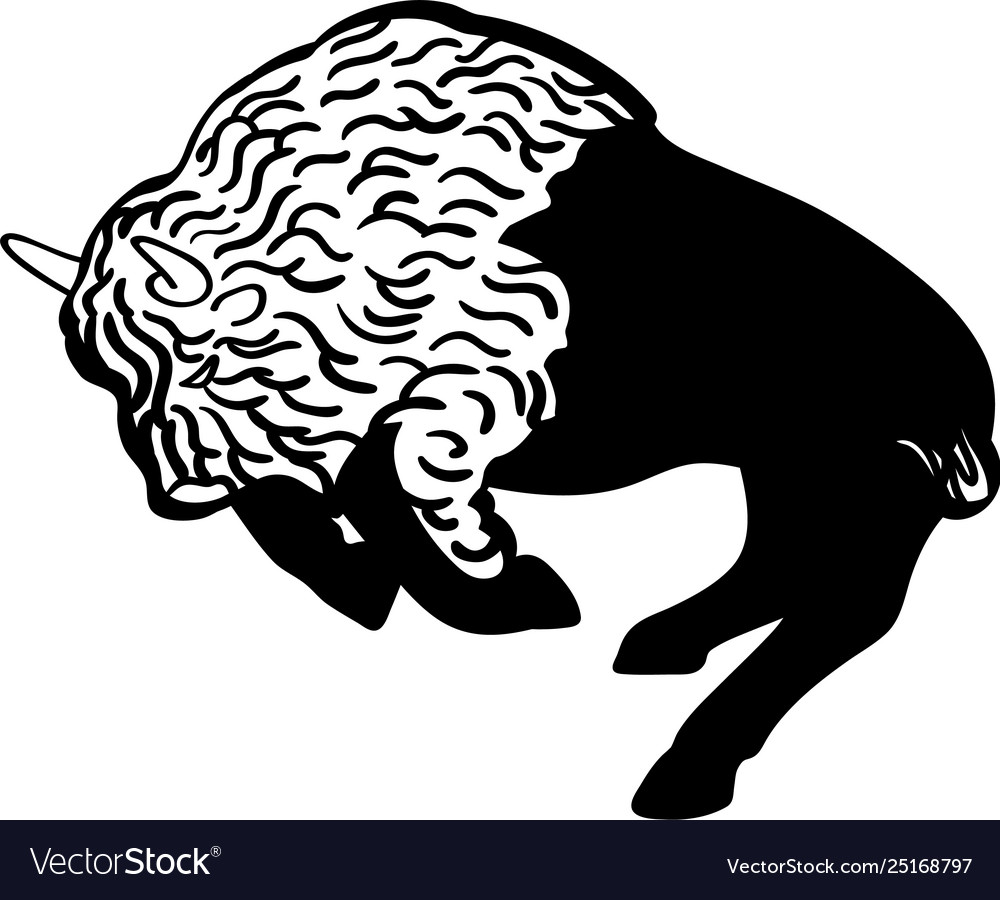 Bison eps Royalty Free Vector Image - VectorStock