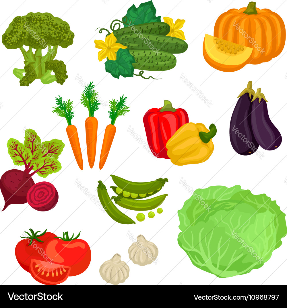 Farm vegetables isolated flat icons Royalty Free Vector