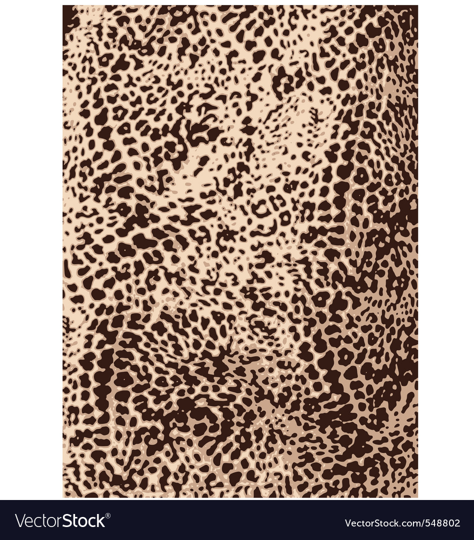 Animal skin pattern Royalty Free Vector Image - VectorStock