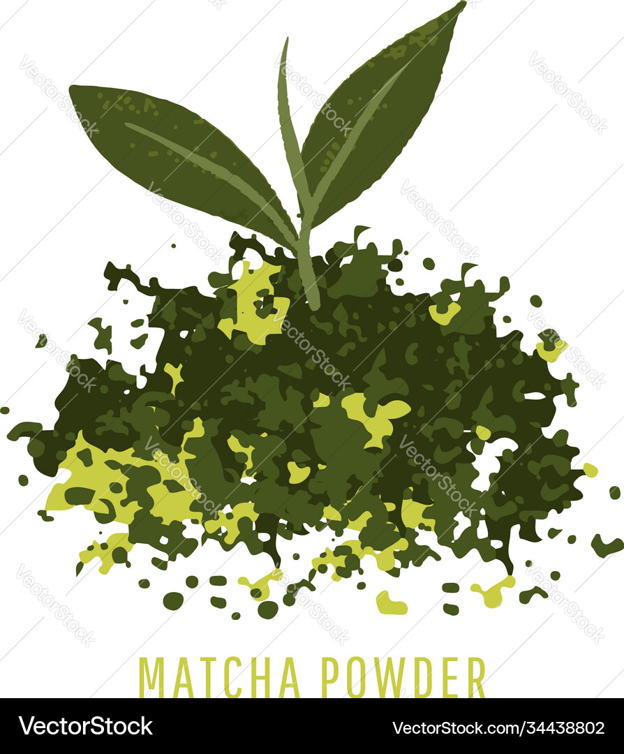 Minimal style matcha powder and green tea leaf Vector Image