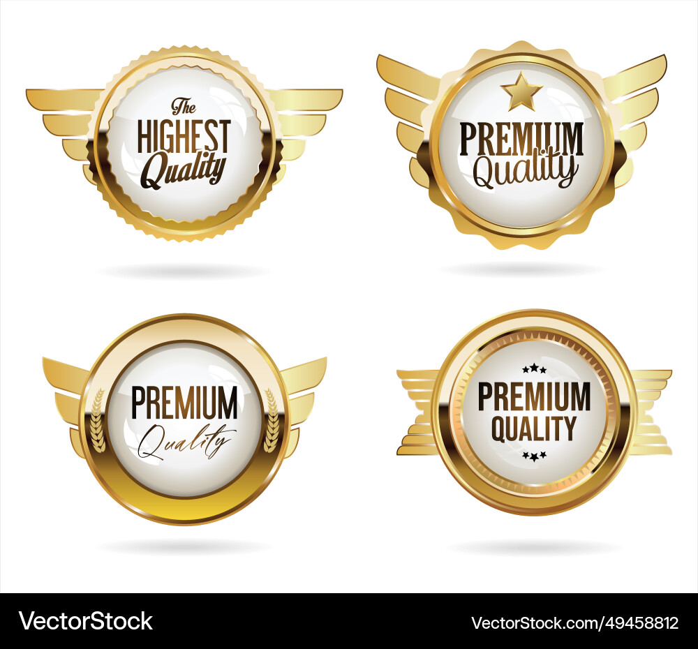 Vintage style premium quality design collection Vector Image