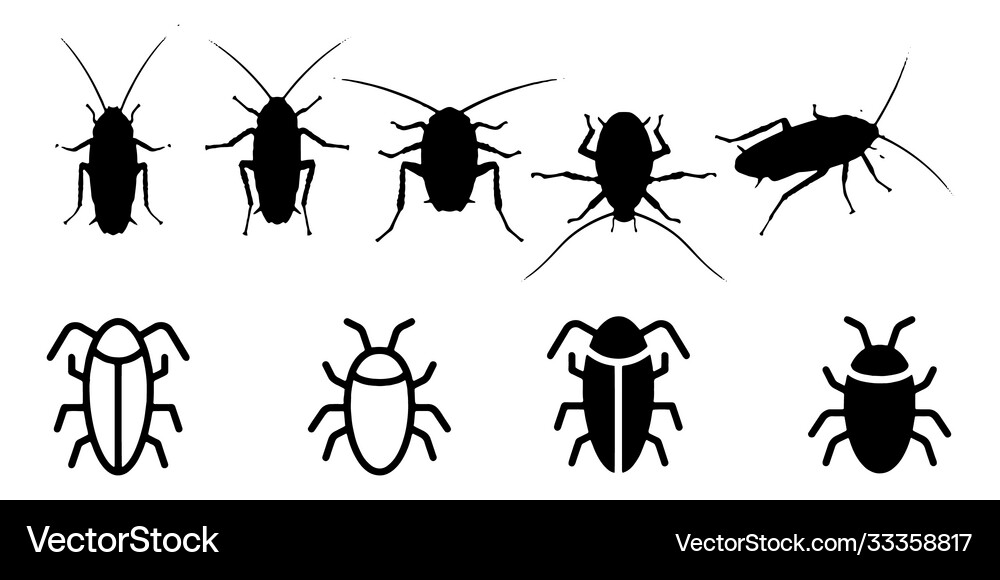Cockroach insect icons set on white background Vector Image