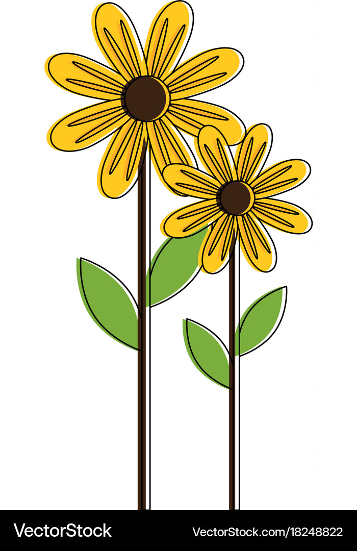 Cute sunflower plant icon Royalty Free Vector Image
