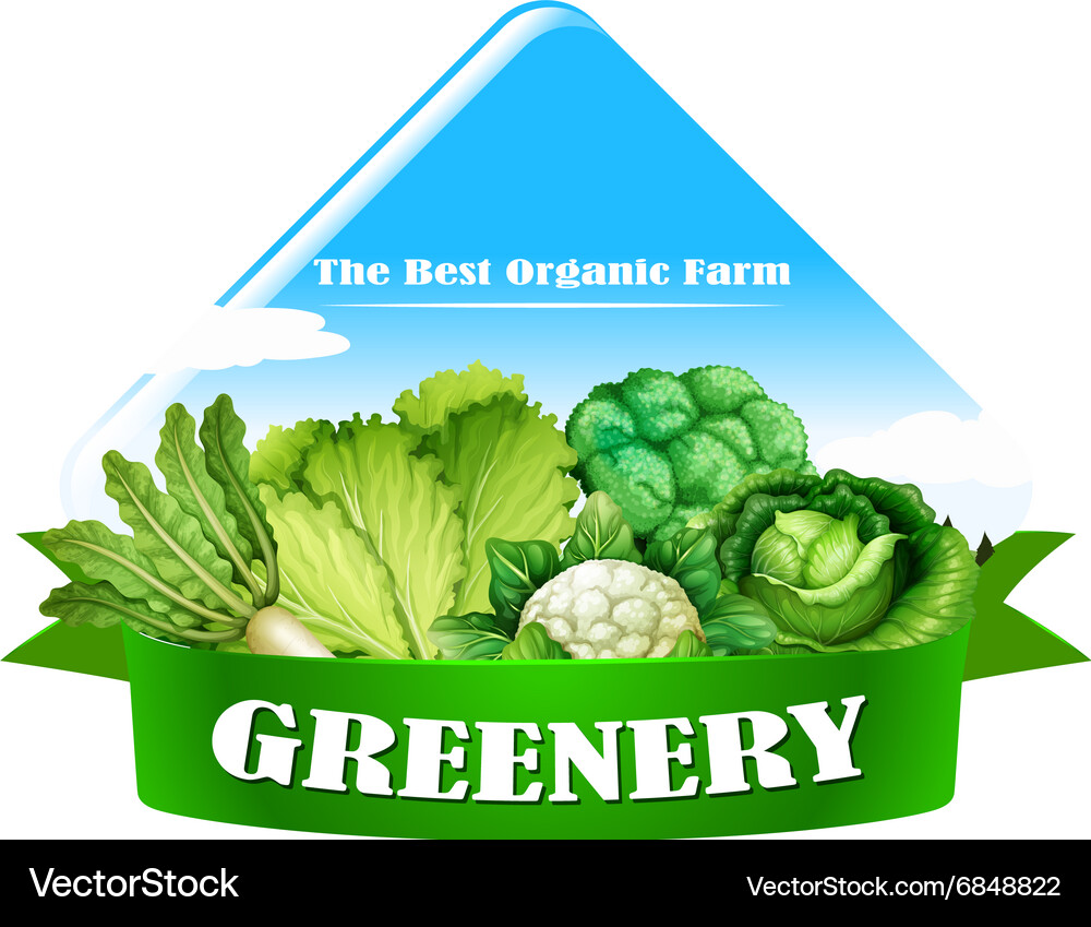 Food logo with fresh vegetables Royalty Free Vector Image