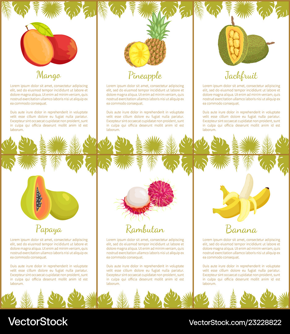 Mango and pineapple and banana posters Royalty Free Vector