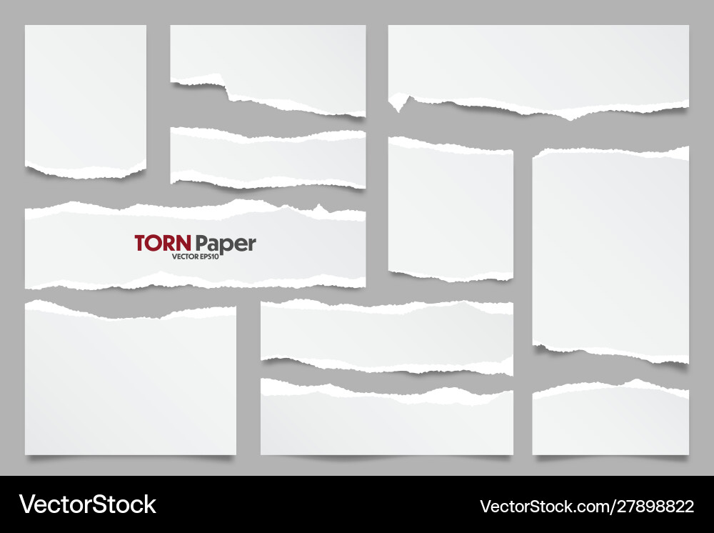 White ripped paper strips collection realistic Vector Image