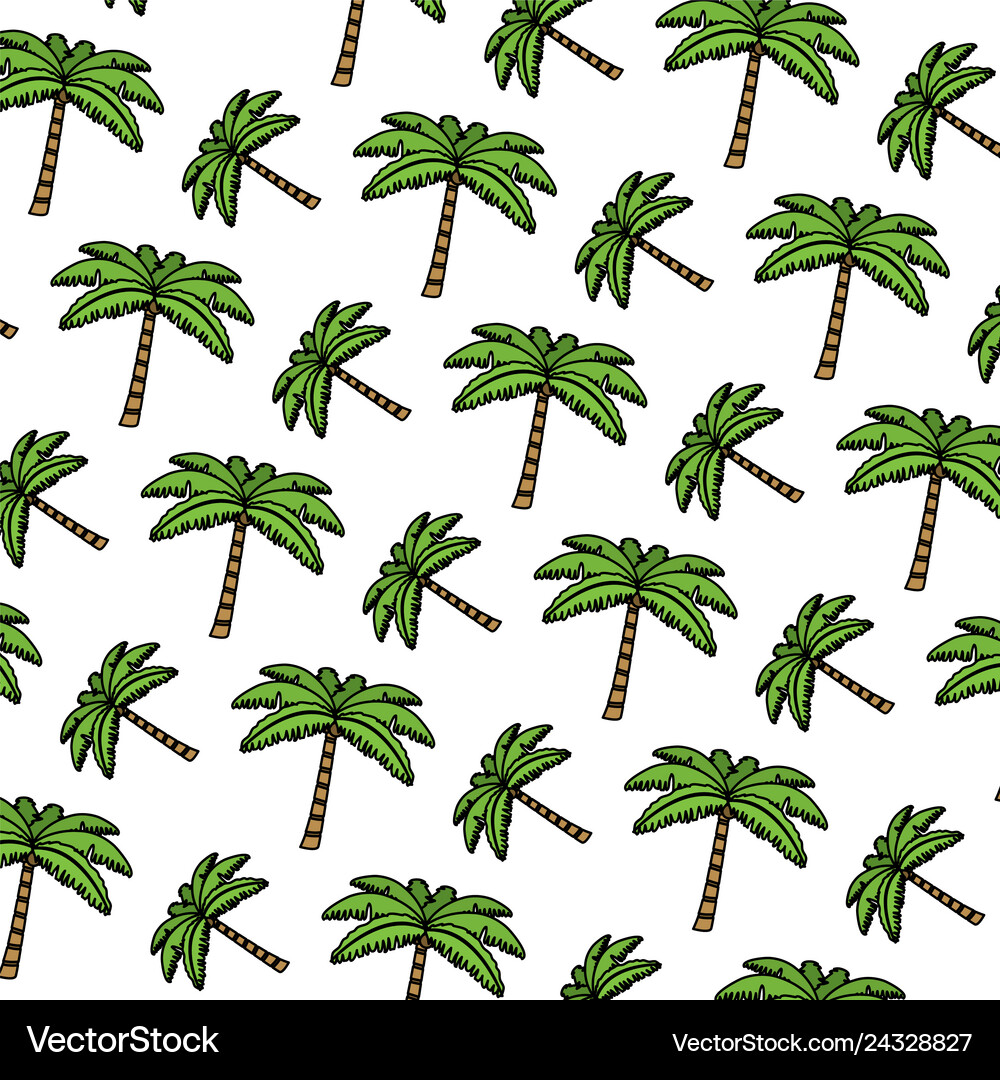 Color tropical palm nature tree background Vector Image