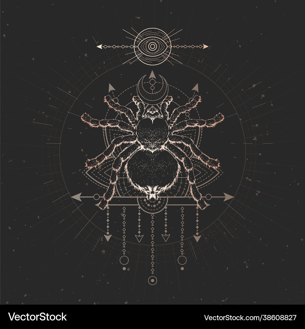With hand drawn spider and sacred geometric Vector Image