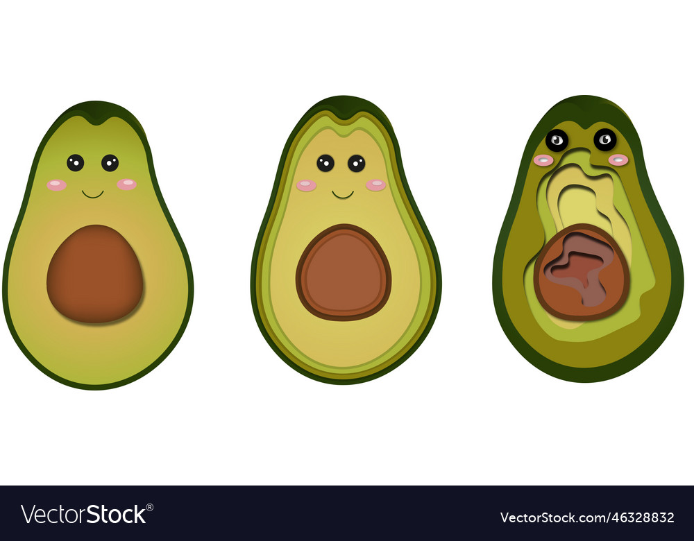 Avocado Royalty Free Vector Image - VectorStock