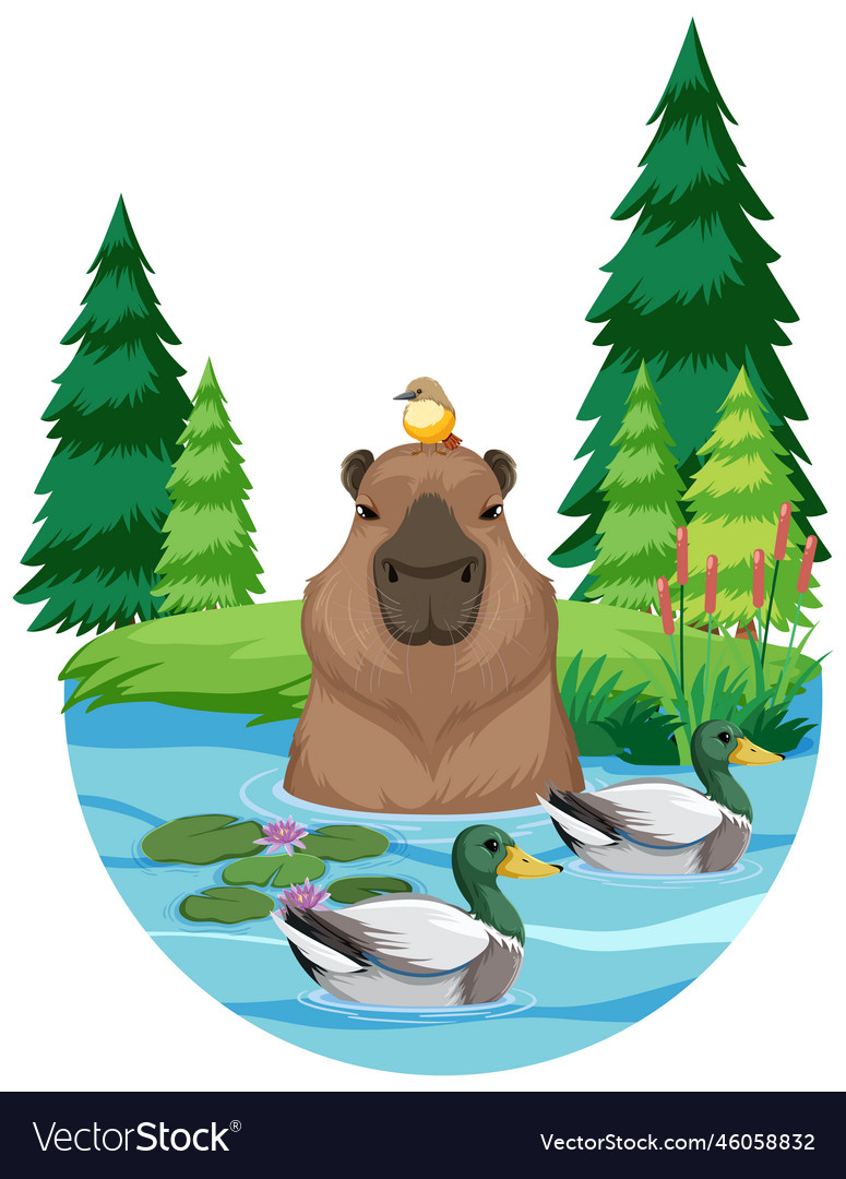 Capybara in nature pond with ducks Royalty Free Vector Image Capybara in nature pond with ducks Royalty Free Vector Image
