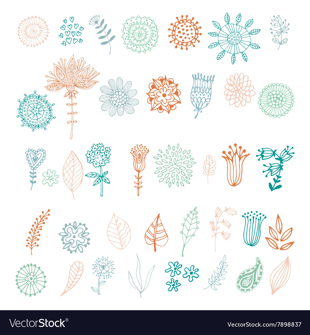 Flowers Graphics Royalty Free Vector Image Vectorstock 