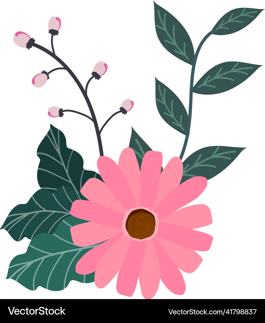 Flowers plant leaves Royalty Free Vector Image