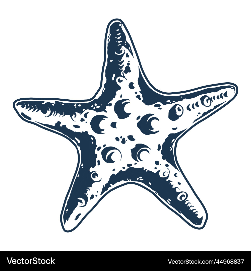 Sea starfish monochrome detailed element Vector Image
