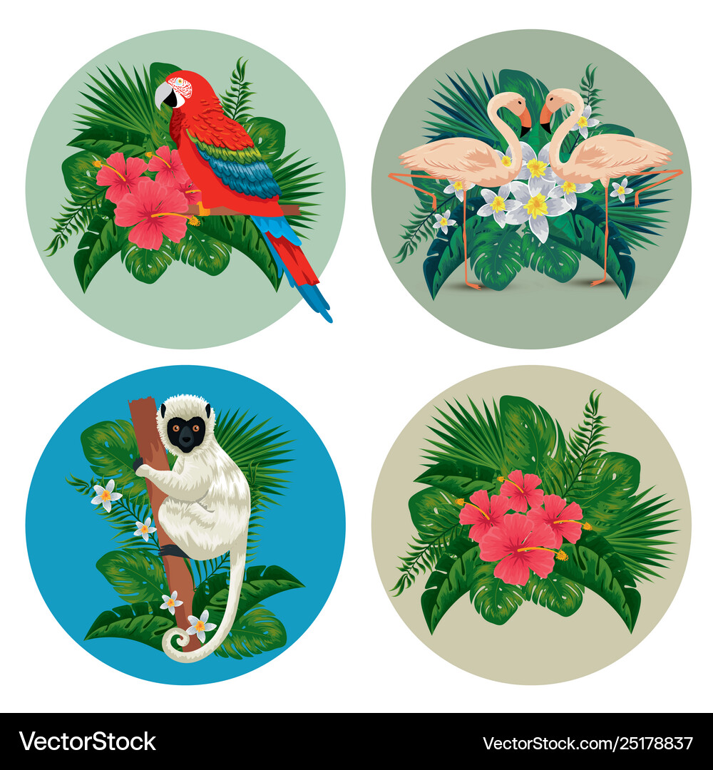 Set labels with exotic animals and tropical Vector Image