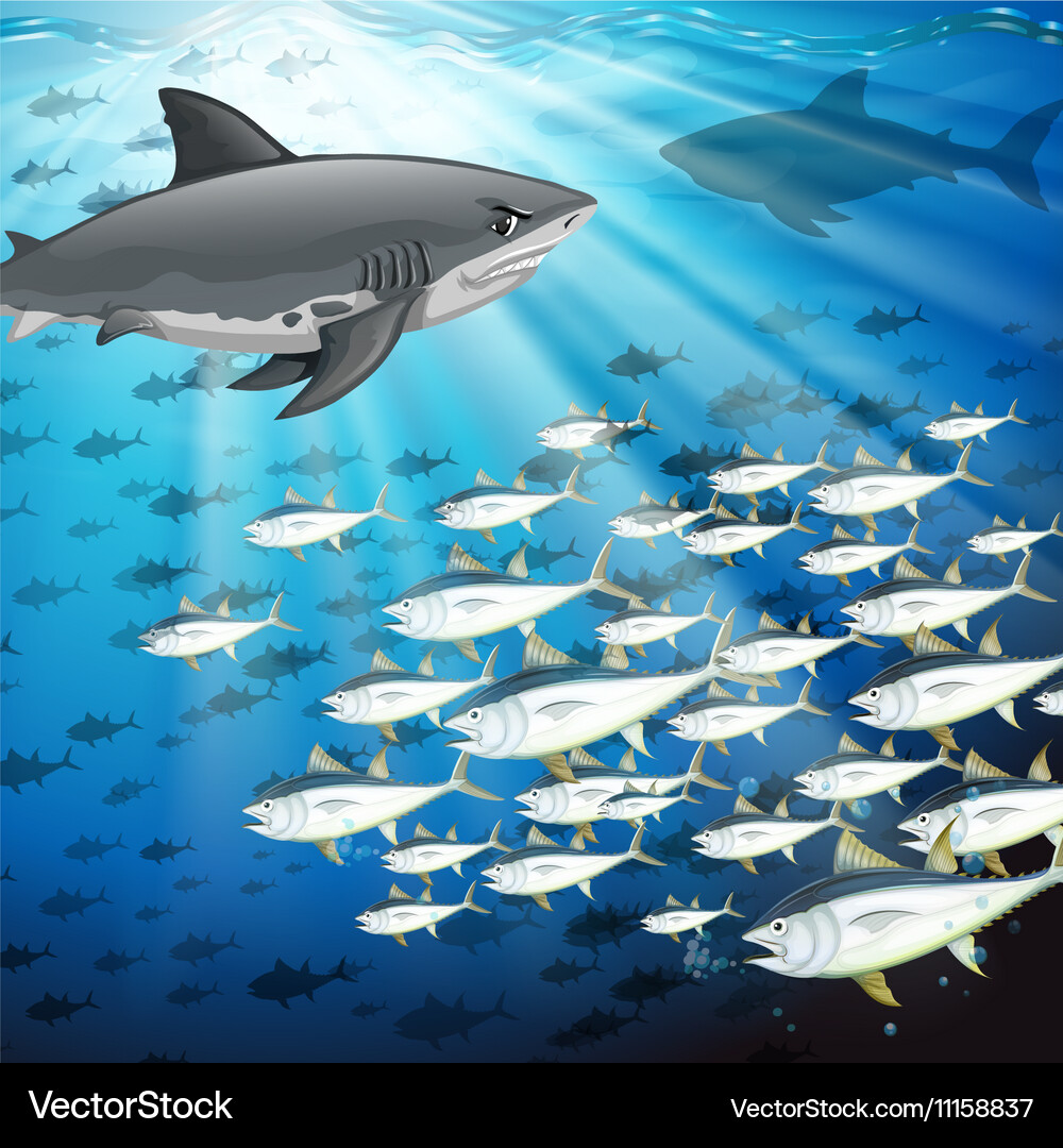 Sharks and fish under the ocean Royalty Free Vector Image