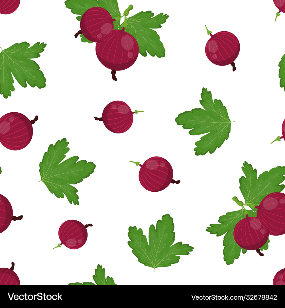 Gooseberries seamless pattern isolated on white Vector Image