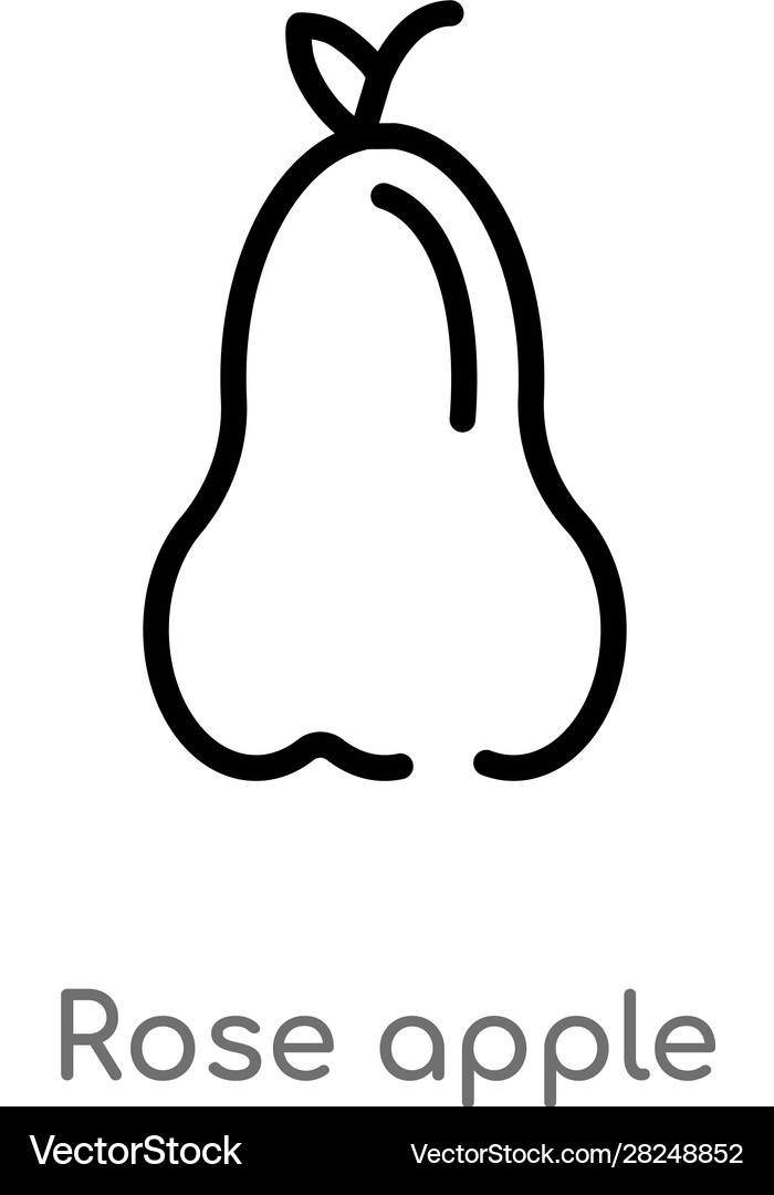Outline rose apple icon isolated black simple Vector Image