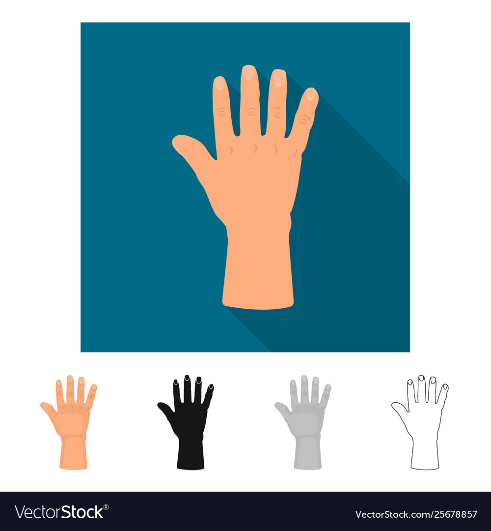 Isolated object body and part symbol set Vector Image Isolated object body and part symbol set Vector Image