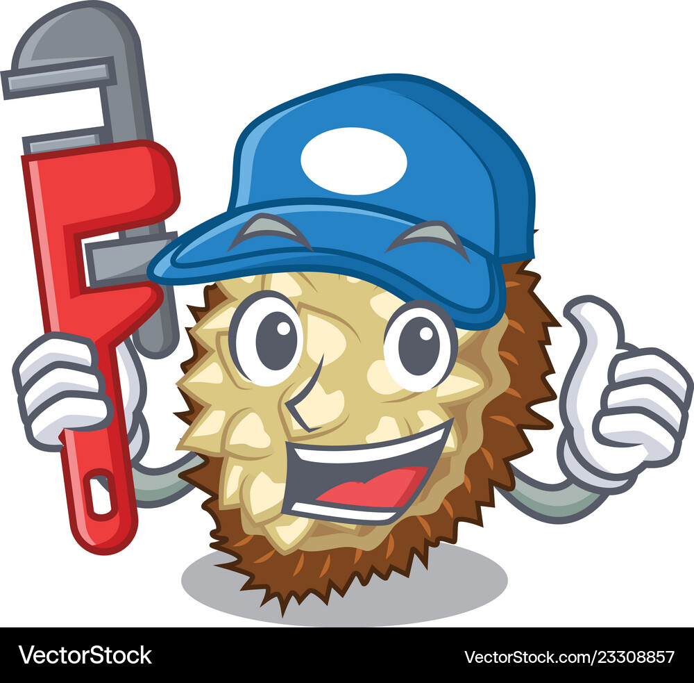 Plumber fruit marang is located in mascot Vector Image