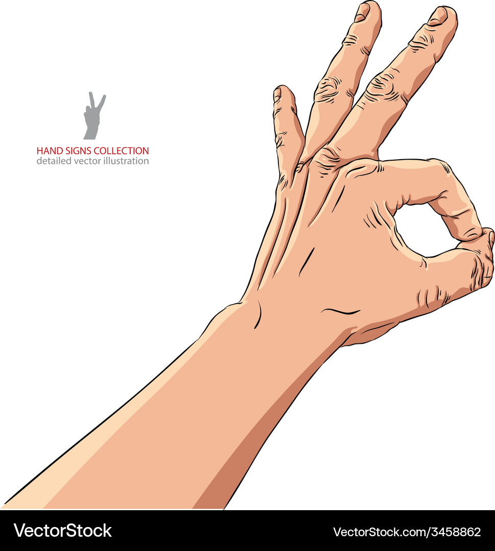 Okay hand sign detailed Royalty Free Vector Image