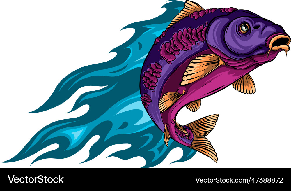 Colored draw of carp fish Royalty Free Vector Image