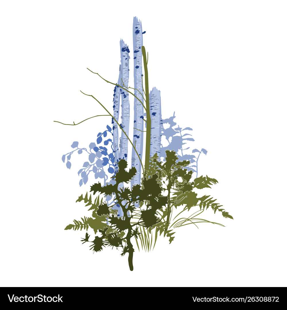 Mixed forest landscape fir trees birch Royalty Free Vector