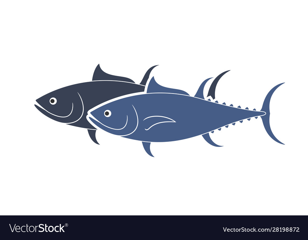 Tuna Royalty Free Vector Image - VectorStock Tuna Royalty Free Vector Image - VectorStock