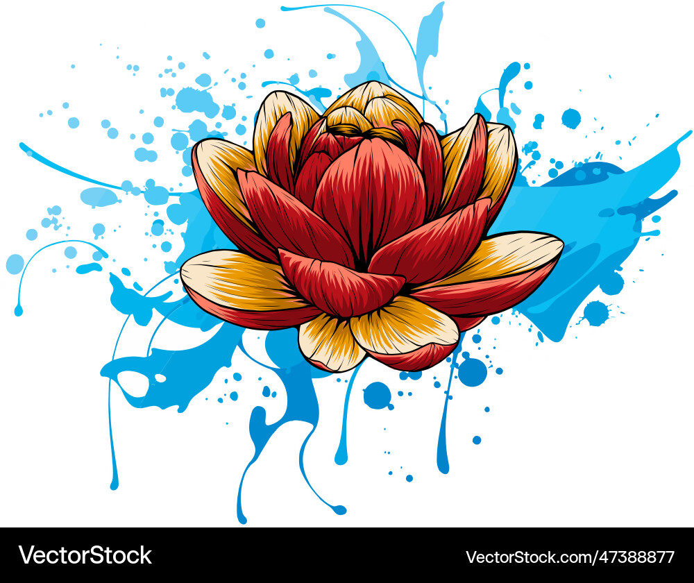 Beautiful flower lily lotus Royalty Free Vector Image