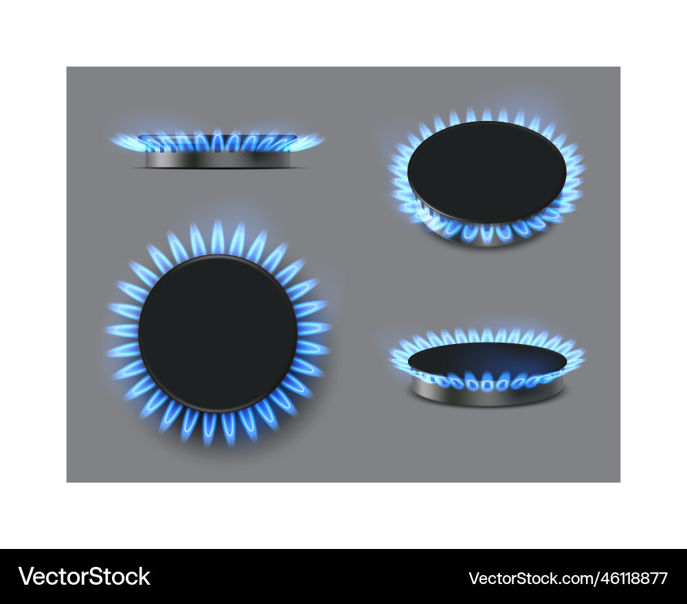 Gas flame realistic kitchen stove burning decent Vector Image