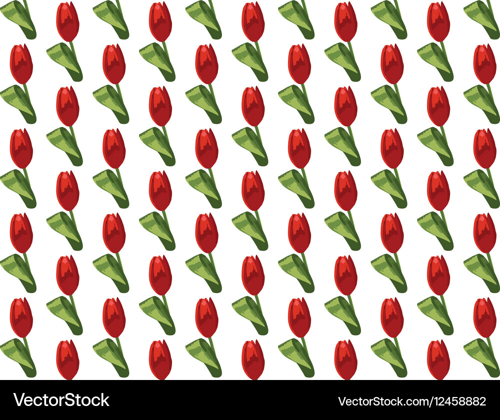 Tulip flowers pattern Royalty Free Vector Image