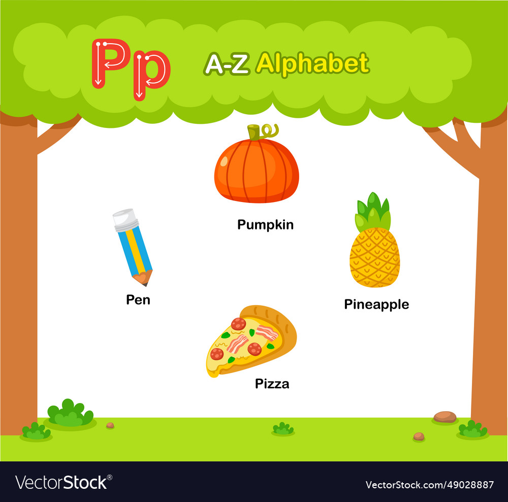 Alphabet letter p education vocabulary Royalty Free Vector