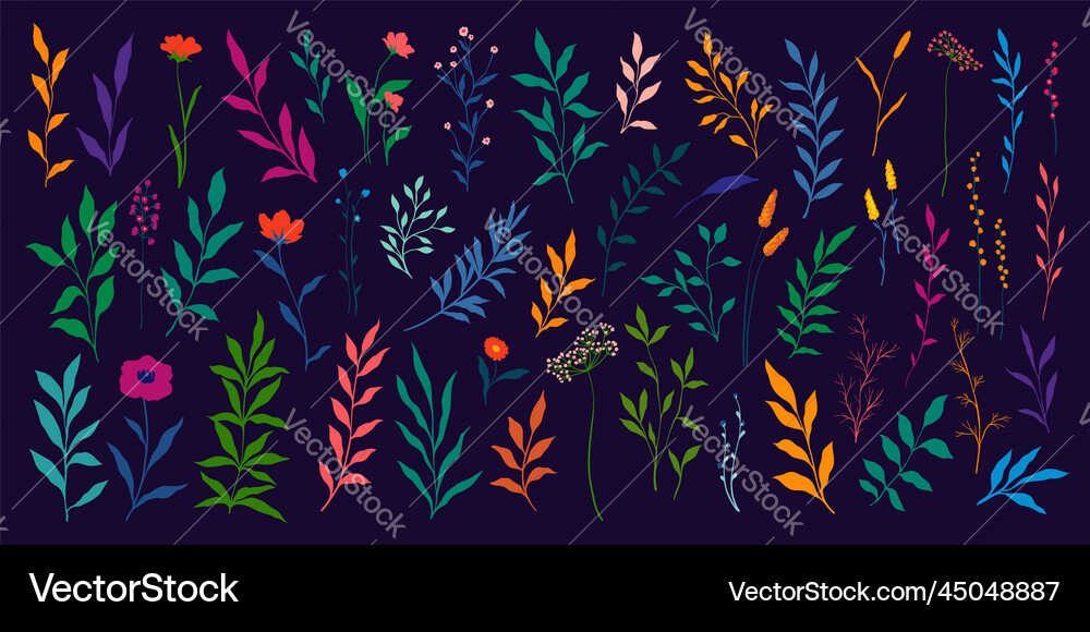 Creative minimalist abstract art wild flowers Vector Image