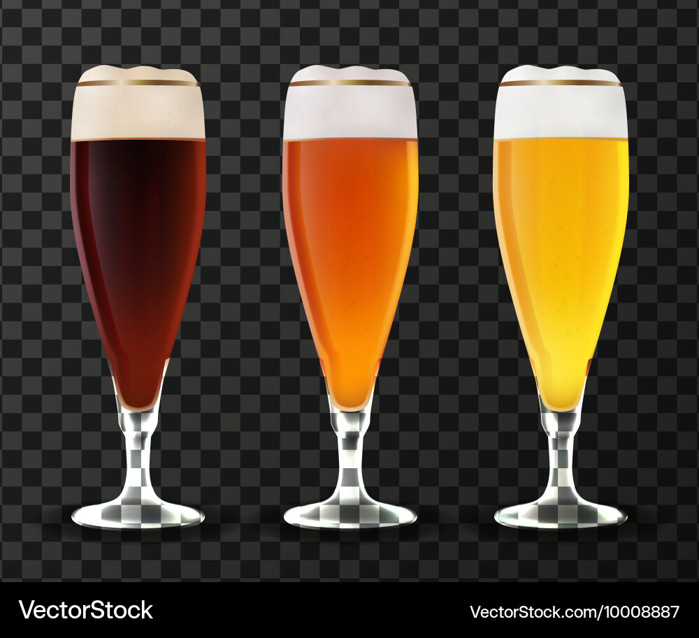 Glass of beer Royalty Free Vector Image - VectorStock